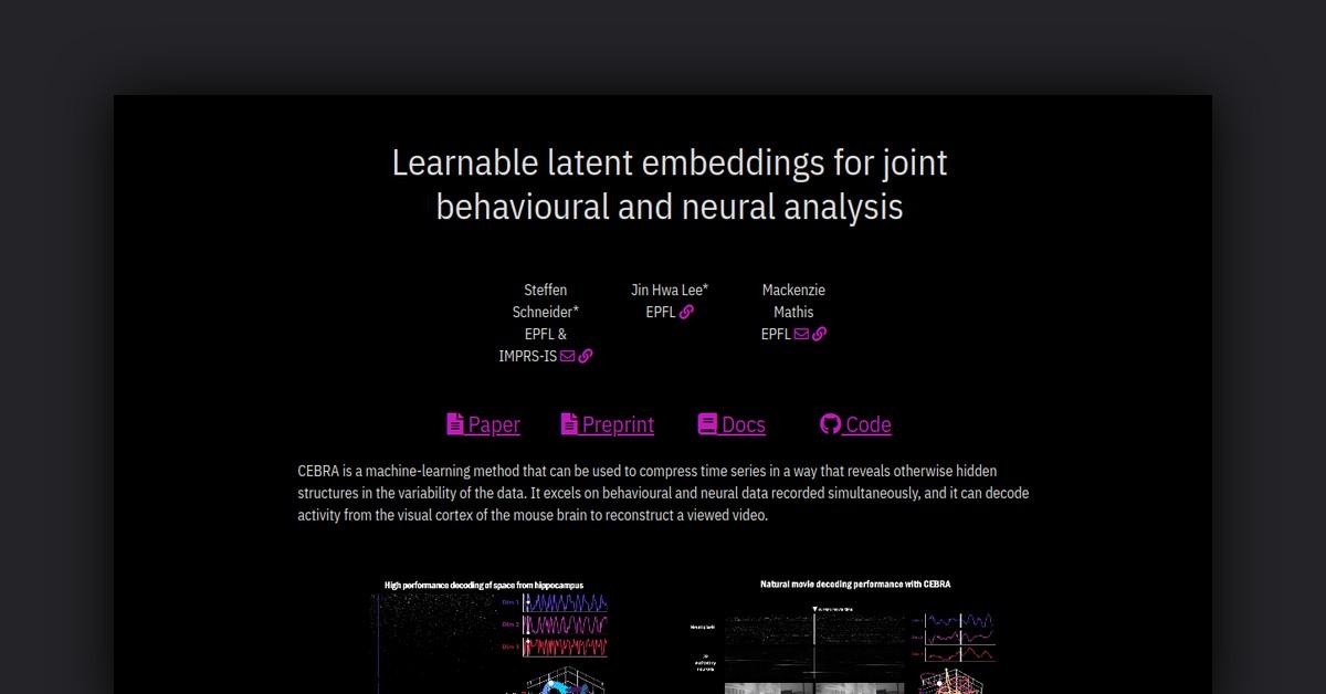 Cebra * HYBRID RITUALS